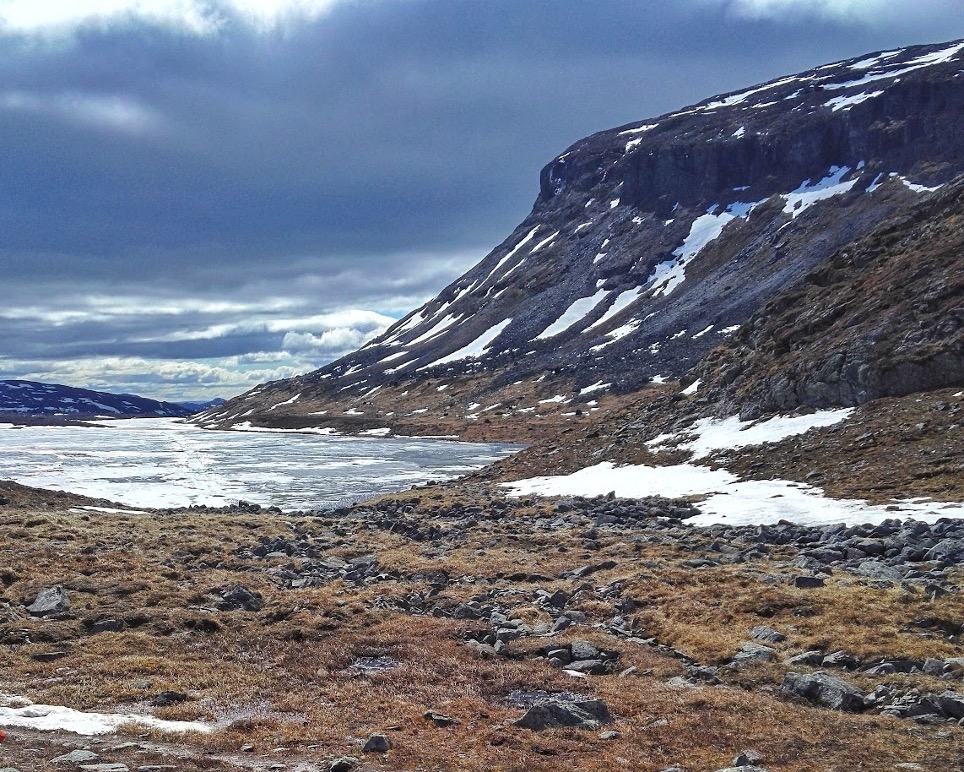 Why species are common or rare depends on spatial scale – Biogeography.News