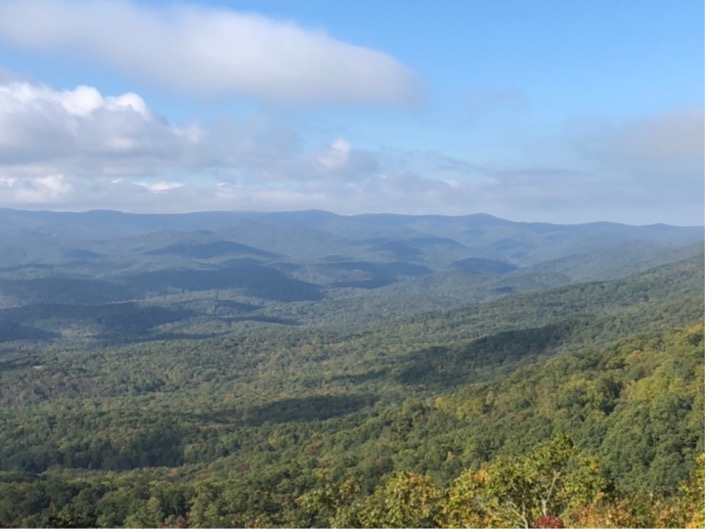 A Tale of Two Types of Landscape Heterogeneity – Biogeography.News